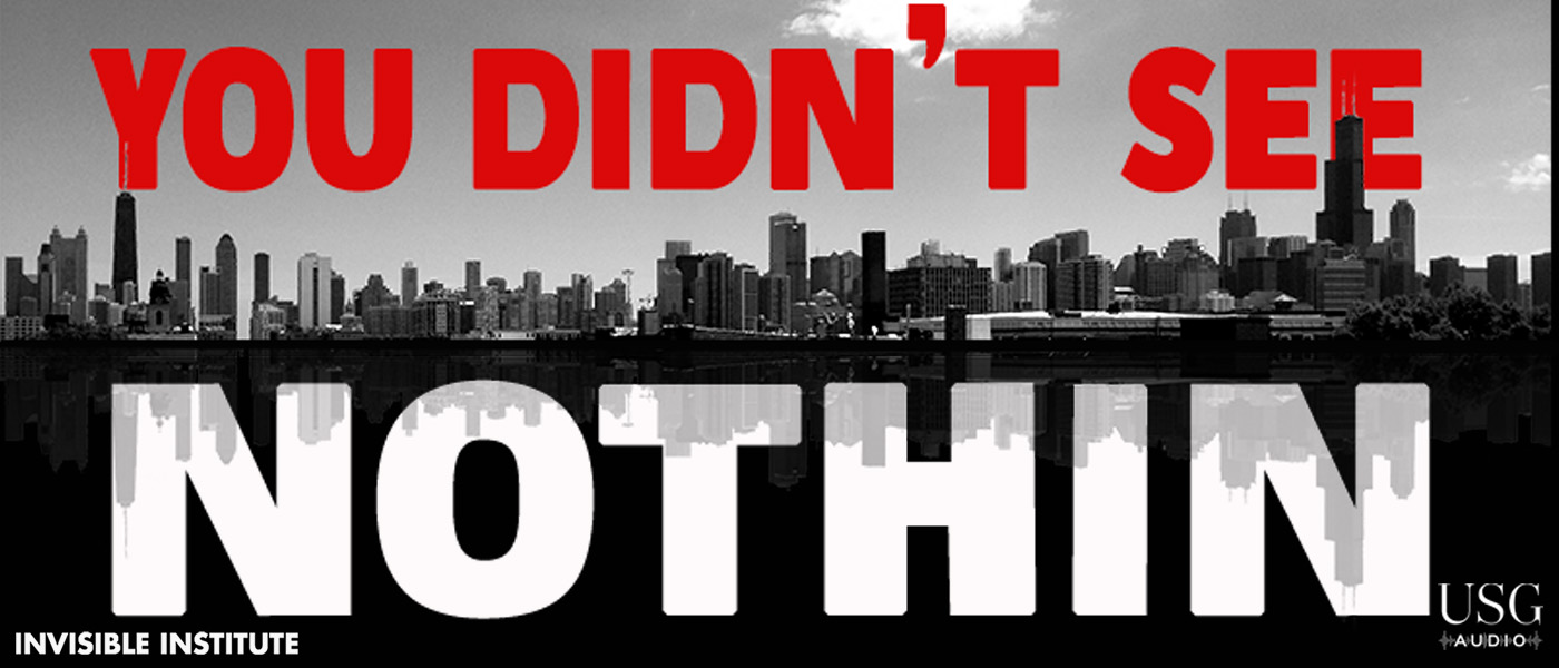 YOU DIDN'T SEE NOTHIN | USG Audio